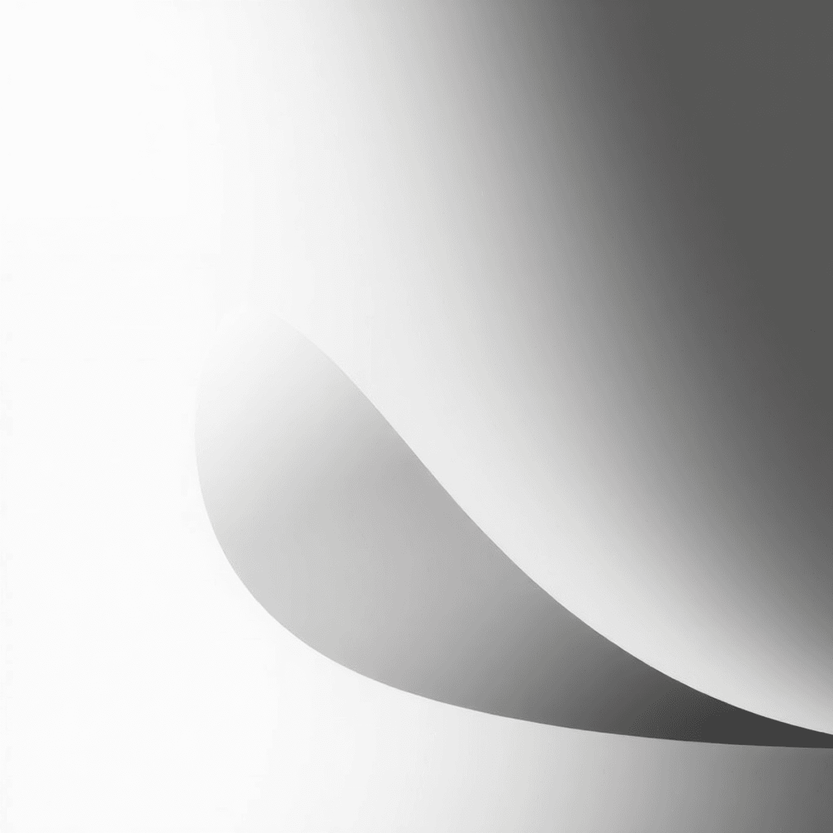 Apa itu Warna Monokrom? Kenali Jenis dan Contohnya